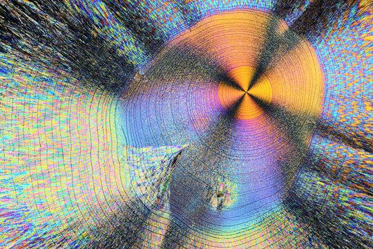 รูปภาพMicrophoto – เลือกดูภาพถ่ายสต็อก เวกเตอร์ และวิดีโอ1,133 | Adobe ...