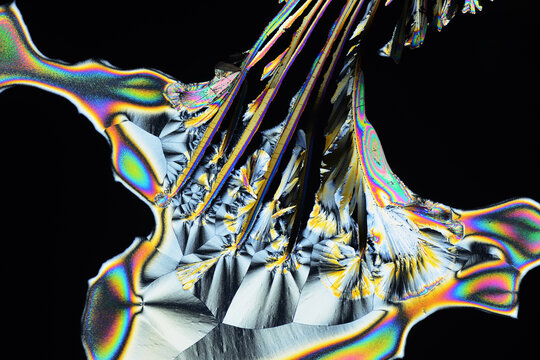 รูปภาพMicrophoto – เลือกดูภาพถ่ายสต็อก เวกเตอร์ และวิดีโอ1,133 | Adobe ...