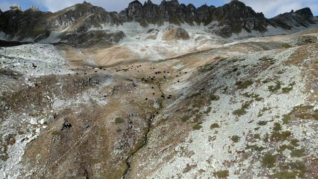 Eringer Images – Browse 108 Stock Photos, Vectors, and Video | Adobe Stock