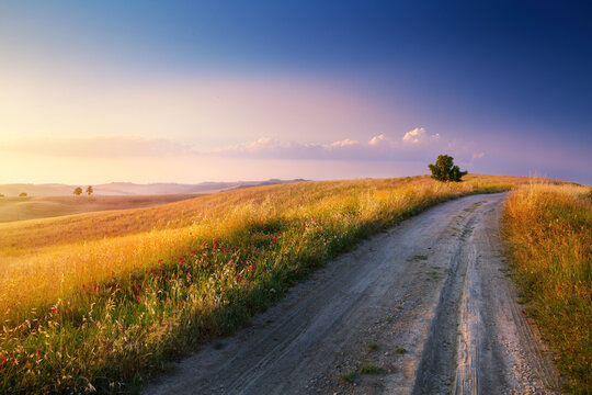 "Early Morning" Images – Browse 41,152 Stock Photos, Vectors, and Video ...