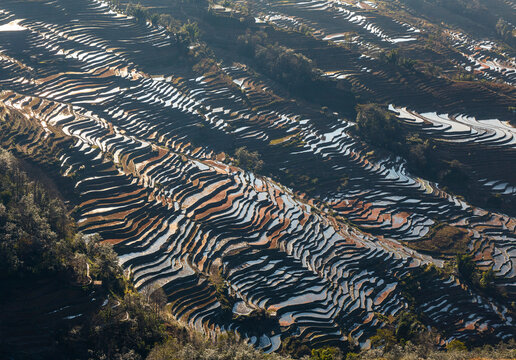 "Terraced Fields" Images – Browse 8,141 Stock Photos, Vectors, and ...