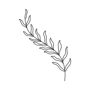 Leaves Drawing Tumblr