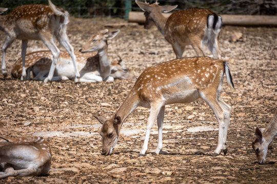 รูปภาพRocailleux – เลือกดูภาพถ่ายสต็อก เวกเตอร์ และวิดีโอ1,167 | Adobe ...