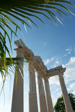 「Appolon」の写真素材 | 102件の無料イラスト画像 | Adobe Stock