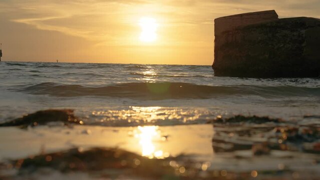 Florida Scenes Cliff
