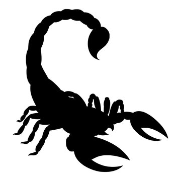 รูปภาพAlacran – เลือกดูภาพถ่ายสต็อก เวกเตอร์ และวิดีโอ133 | Adobe Stock