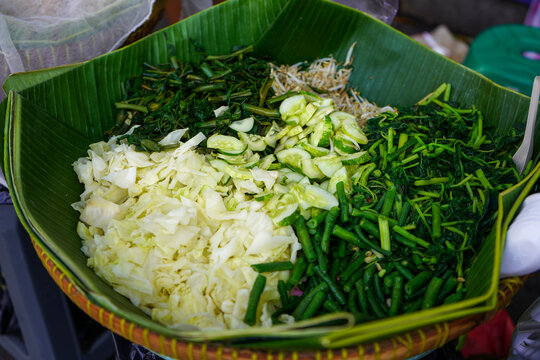 Lotek Images – Browse 60 Stock Photos, Vectors, and Video | Adobe Stock