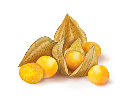 Harankash Images – Browse 13,857 Stock Photos, Vectors, and Video ...