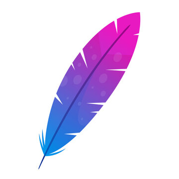 Feather Clip Art