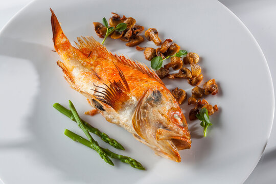 Fried Scorpion Fish