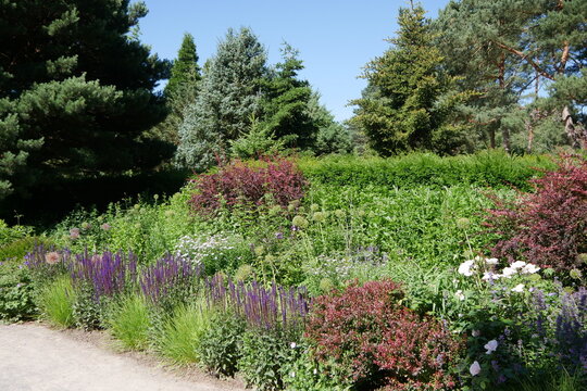 Staudengarten Bilder – Durchsuchen 12,042 Archivfotos, Vektorgrafiken ...