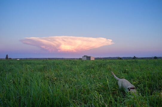 Cumulonimbus Capillatus