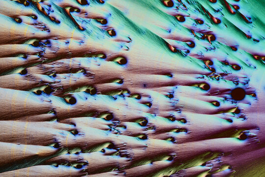 รูปภาพMicrophoto – เลือกดูภาพถ่ายสต็อก เวกเตอร์ และวิดีโอ1,133 | Adobe ...