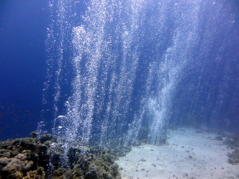 "Underwater Bubbles" Images – Browse 1,843 Stock Photos, Vectors, and ...