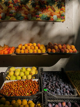 Frout Images – Browse 26 Stock Photos, Vectors, and Video | Adobe Stock