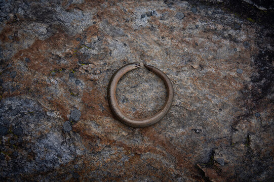 รูปภาพUroboros – เลือกดูภาพถ่ายสต็อก เวกเตอร์ และวิดีโอ1,858 | Adobe Stock