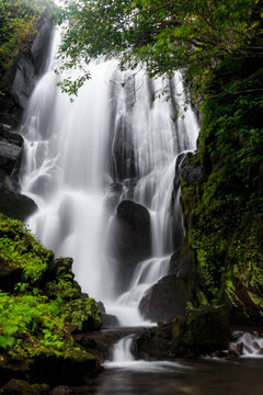 Menader bilder – Bläddra bland 3,594 stockfoton, vektorer och videor ...