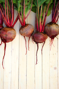 Imágenes de Beets: descubre bancos de fotos, ilustraciones, vectores y ...