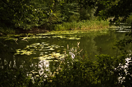 Oczko Bilder – Durchsuchen 358 Archivfotos, Vektorgrafiken und Videos ...