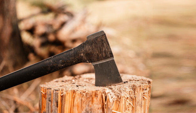 Hackebeil Bilder – Durchsuchen 22,848 Archivfotos, Vektorgrafiken und ...