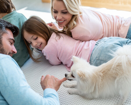 "Simple Living" Images – Browse 24,116 Stock Photos, Vectors, and Video ...