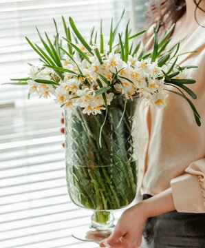 「Paperwhite」の写真素材 | 1,124件の無料イラスト画像 | Adobe Stock