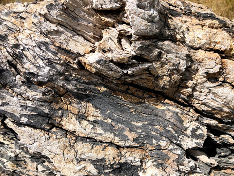 "Rough Surface" Images – Browse 43,547 Stock Photos, Vectors, and Video ...