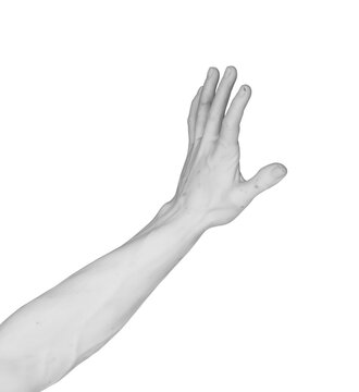 Gipshand Bilder – Durchsuchen 66,047 Archivfotos, Vektorgrafiken und ...