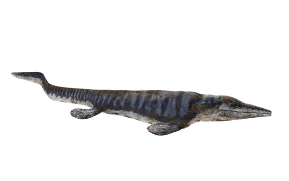 Tylosaurus Sea Monsters