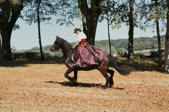 Escarmouche Images – Browse 35 Stock Photos, Vectors, and Video | Adobe ...