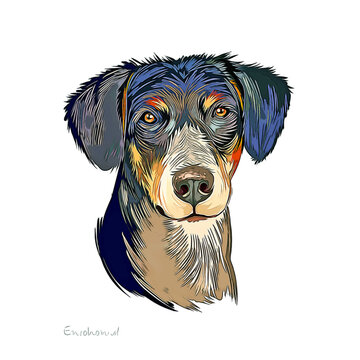 Eurohound Images – Browse 78 Stock Photos, Vectors, and Video | Adobe Stock