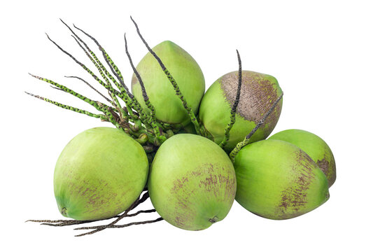 Green Coconut Wallpaper