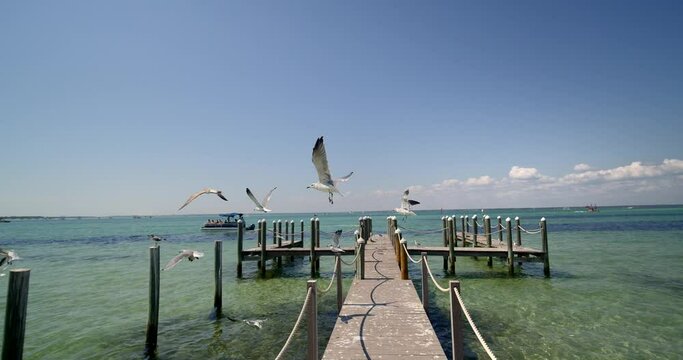 "Flying Off" Images – Browse 4,658 Stock Photos, Vectors, and Video ...