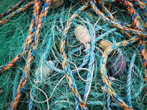 รูปภาพHalieutique – เลือกดูภาพถ่ายสต็อก เวกเตอร์ และวิดีโอ131 | Adobe Stock