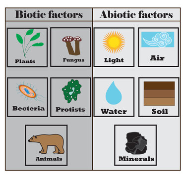 รูปภาพAbiotic – เลือกดูภาพถ่ายสต็อก เวกเตอร์ และวิดีโอ509 | Adobe Stock