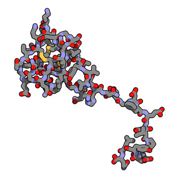 Hirudine Images – Browse 8 Stock Photos, Vectors, and Video | Adobe Stock