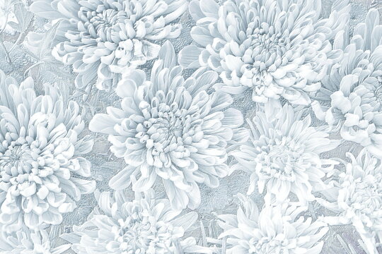 "Monotone Background" Images – Browse 218 Stock Photos, Vectors, and ...