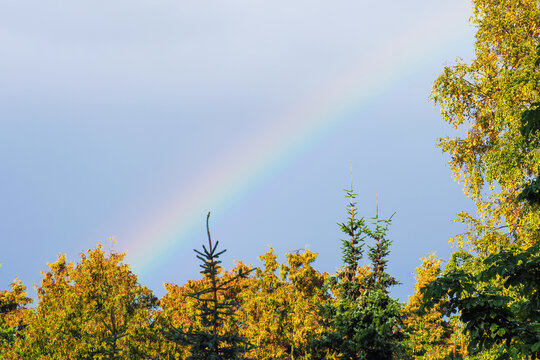 "Real Rainbow" Immagini - Sfoglia 42 foto, vettoriali e video Stock ...