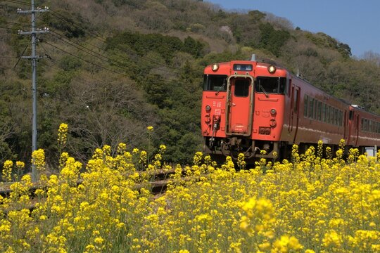 "Diesel Multiple Unit" Images – Browse 2,841 Stock Photos, Vectors, and ...