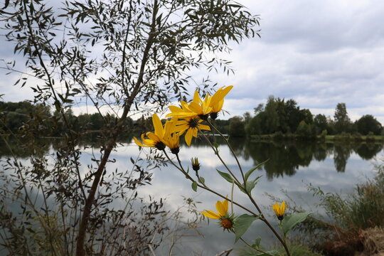 Gais bilder – Bläddra bland 1,206 stockfoton, vektorer och videor ...