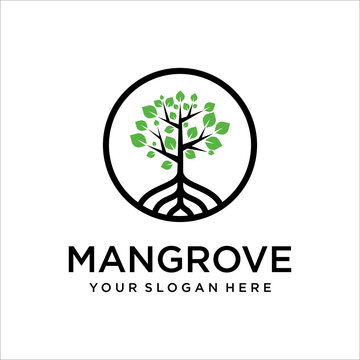Mangrove Logo