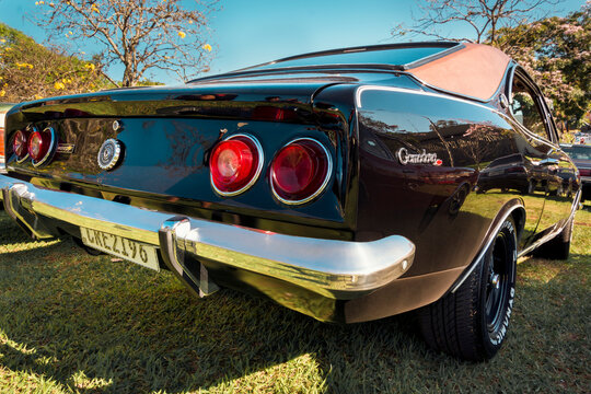 Opala Images – Browse 62 Stock Photos, Vectors, and Video | Adobe Stock