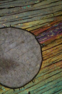 Lyddite Bilder – Durchsuchen 101 Archivfotos, Vektorgrafiken und Videos ...