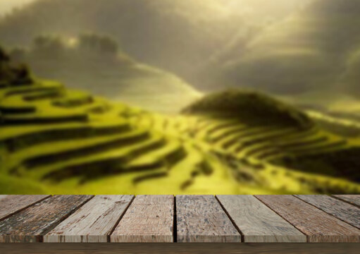 Tabletop Rice Field Backdrop Images – Browse 390 Stock Photos, Vectors ...
