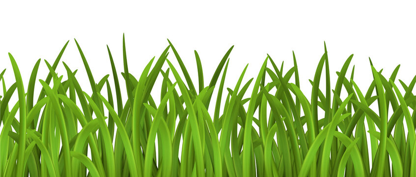 Seamless Grass Background Images – Browse 147,256 Stock Photos, Vectors ...