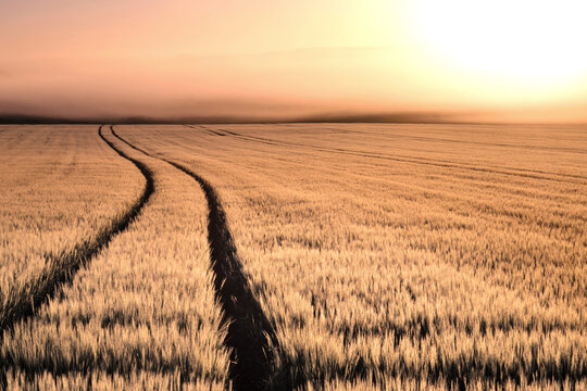Weging Bilder – Durchsuchen 2,520 Archivfotos, Vektorgrafiken und ...