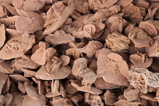 Sandrose 이미지 – 찾아보기 7,222 스톡 사진, 벡터 및 비디오 | Adobe Stock