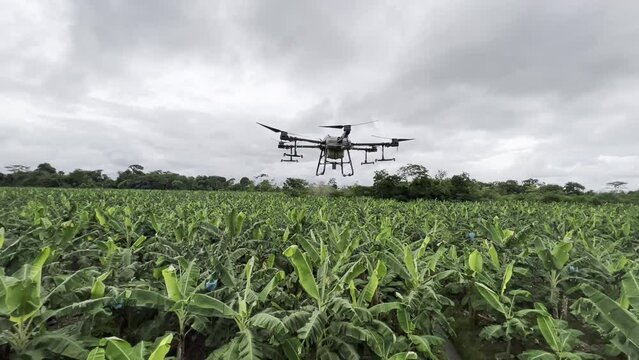 Fumigando Images – Browse 60 Stock Photos, Vectors, and Video | Adobe Stock