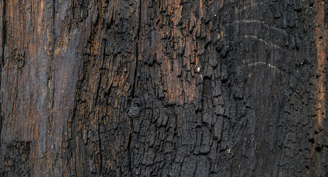 Gfhfgh Images – Browse 5 Stock Photos, Vectors, and Video | Adobe Stock