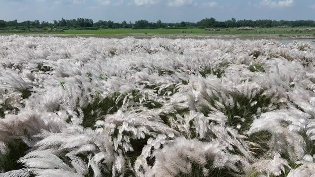 Kashful Images – Browse 223 Stock Photos, Vectors, and Video | Adobe Stock